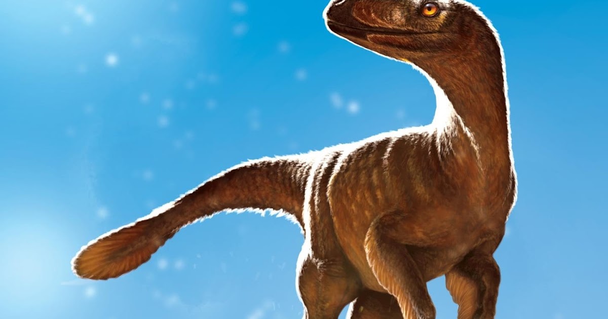 Species New to Science: [Paleontology • 2017] Troodontids (Theropoda ...