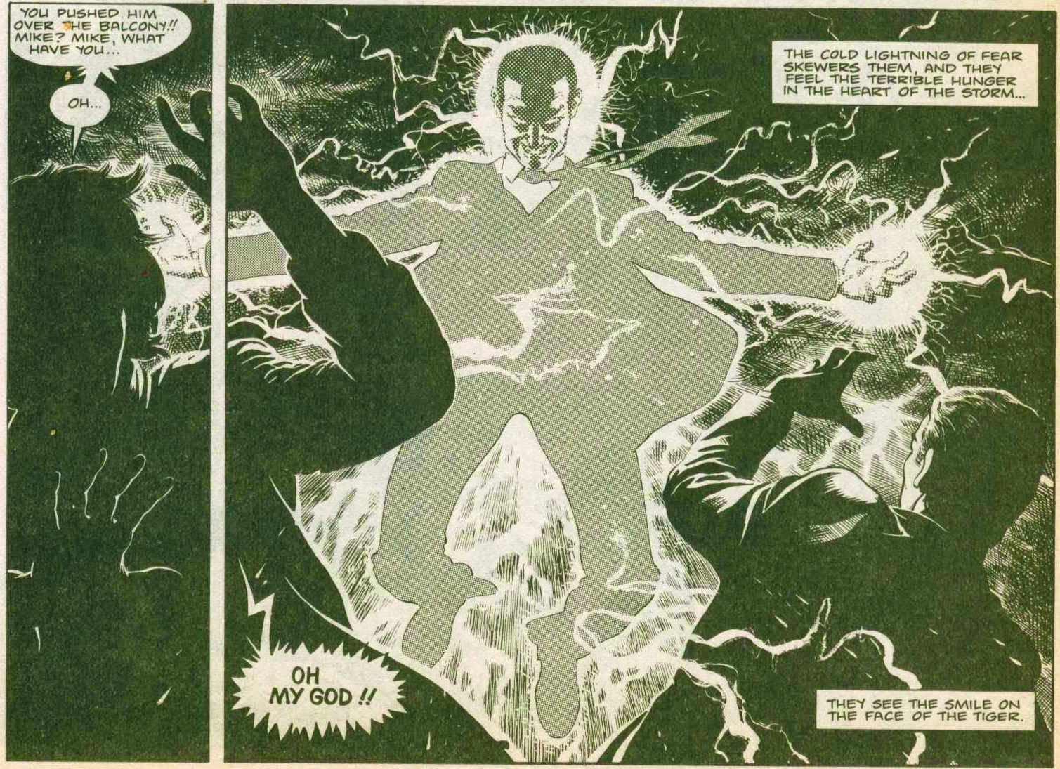 The Slipper: The Long, Confusing and Legally Complicated History of ...