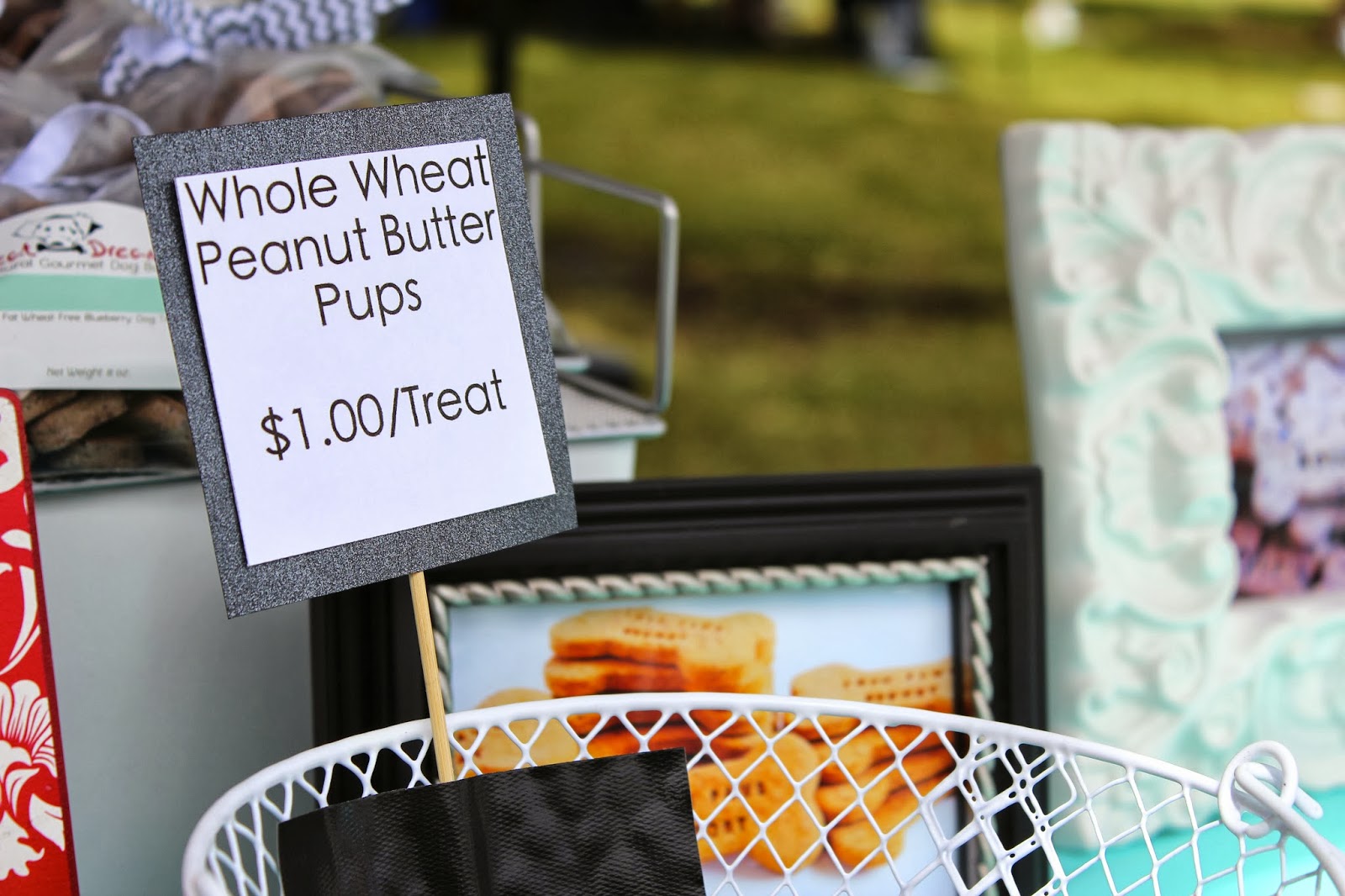 My Dog Treat Vendor Display - Treat Dreams...are made of this