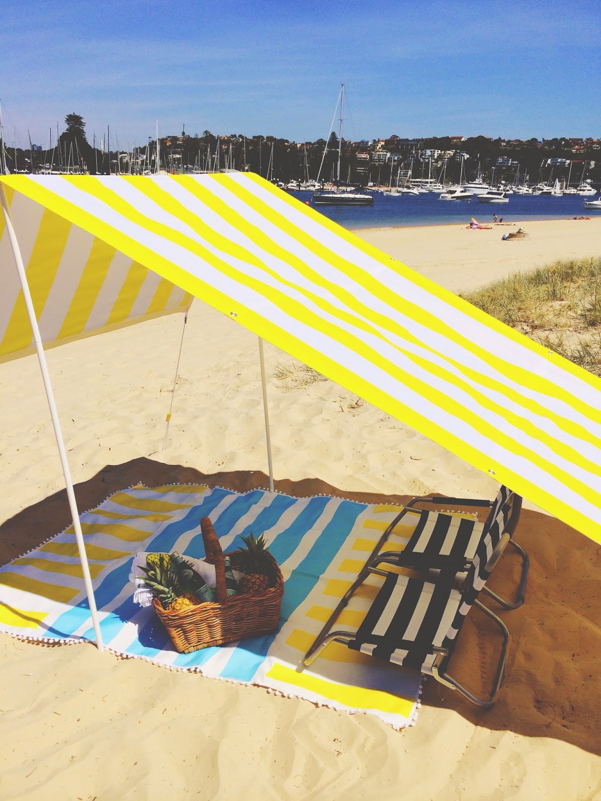 honey and fizz: Summer Giveaway - Sunny Jim Sunshade & Beach Mat