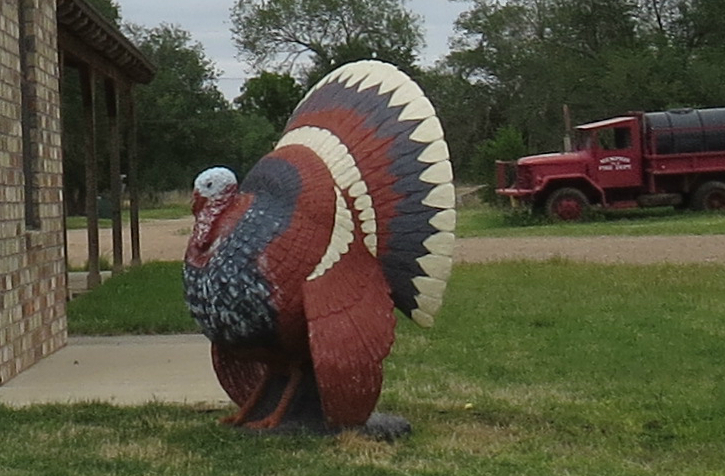 Navasota Ranch: Turkey, and Quitque, Texas
