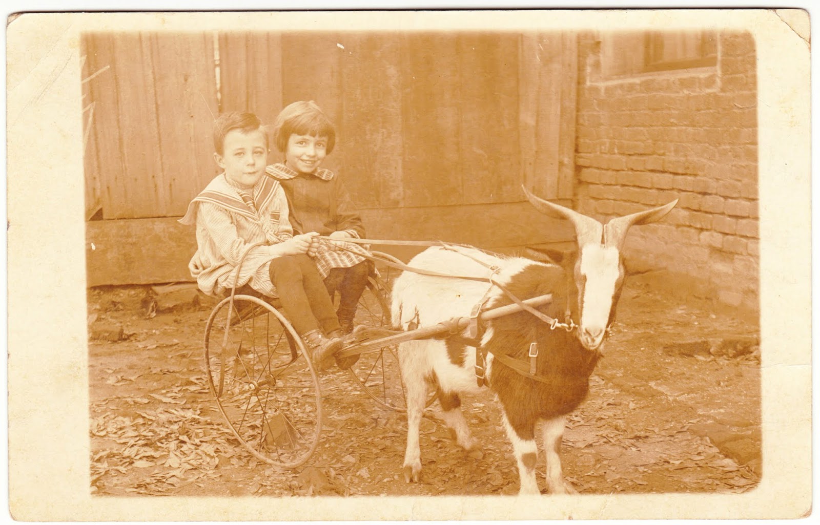 Papergreat: Mystery RPPC of children getting a ride from a goat