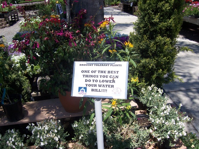 The 2 Minute Gardener Photo Plant World Nursery The 2 Minute Gardener Photo Plant World Nursery