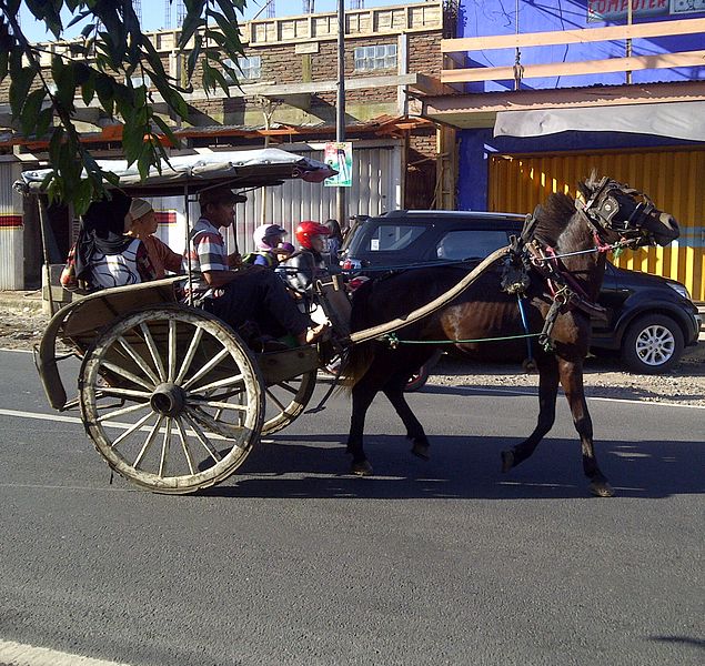 Enem Kabeh: 6 Asal Nama Kereta Kuda Khas di Indonesia