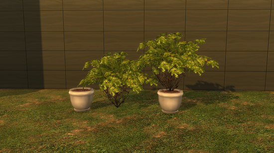 Helen-sims: TS4 Bushes set