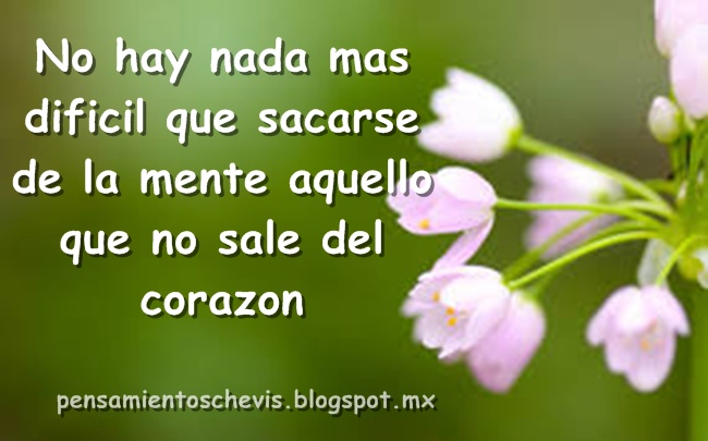 Reflexiones Y Pensamientos No Hay Nada Mas Dificl reflexiones-y-pensamientos-no-hay-nada-mas-dificl