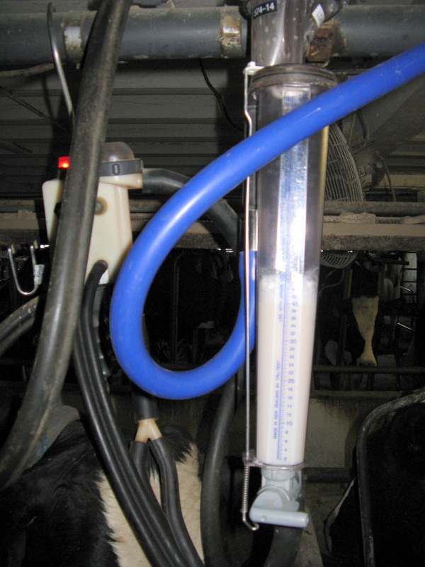 Happily married...to the cows!: Milk Testing...