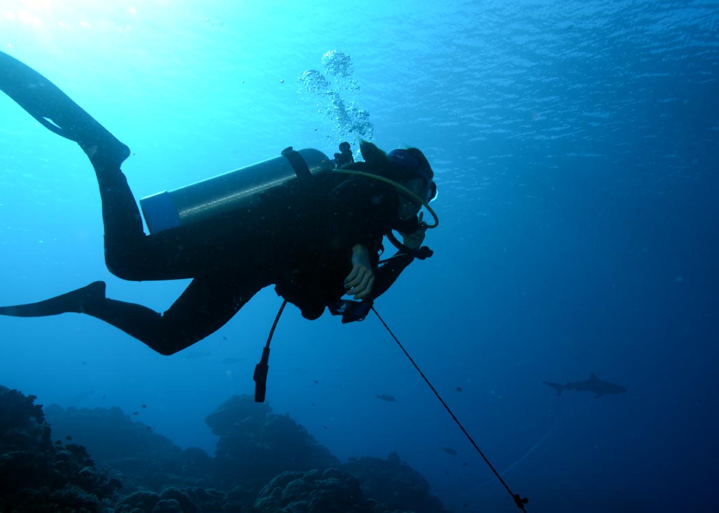 Savannah: The Rock Islands, Palau