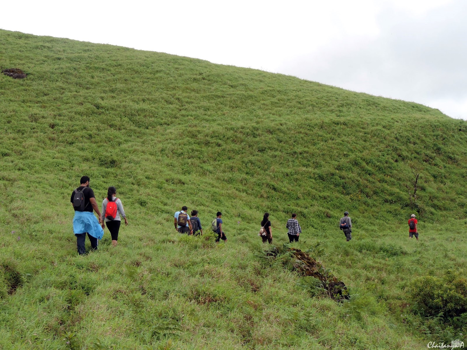 Journey to Mystic Falls (Trek to Bandaje Arbi) - Bangalore Trekking Club®