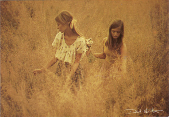 COLOUR ME RED: DAVID HAMILTON