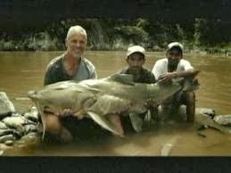 NOTICIAS Y EFEMERIDES MUSICALES Y DEL CINE: AÚN QUEDAN MONSTRUOS POR ...