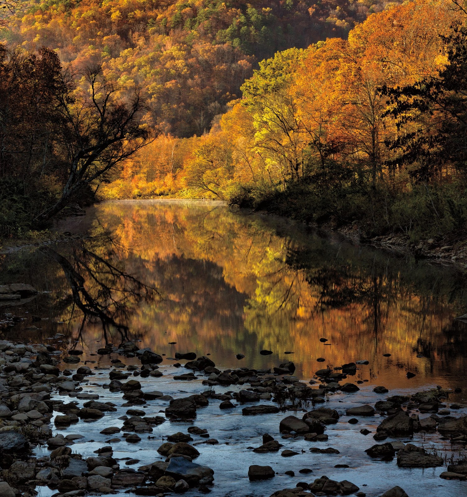 50 Authors from 50 States: HEADLINE: New York Reviewer Visits Arkansas ...