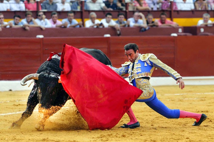 Mucho Más Que Toros: Muleta