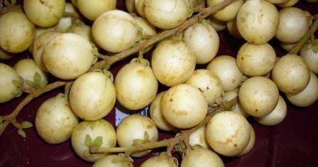 10 Khasiat Buah Rambai - infosekayu.com