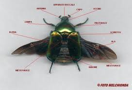 Infinite forme: 2011