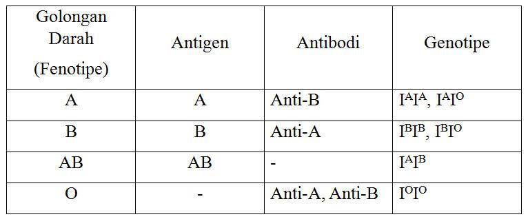 Ini Anak Siapa? (Keliru mengartikan jenis golongan darah) - PERAWAT ...
