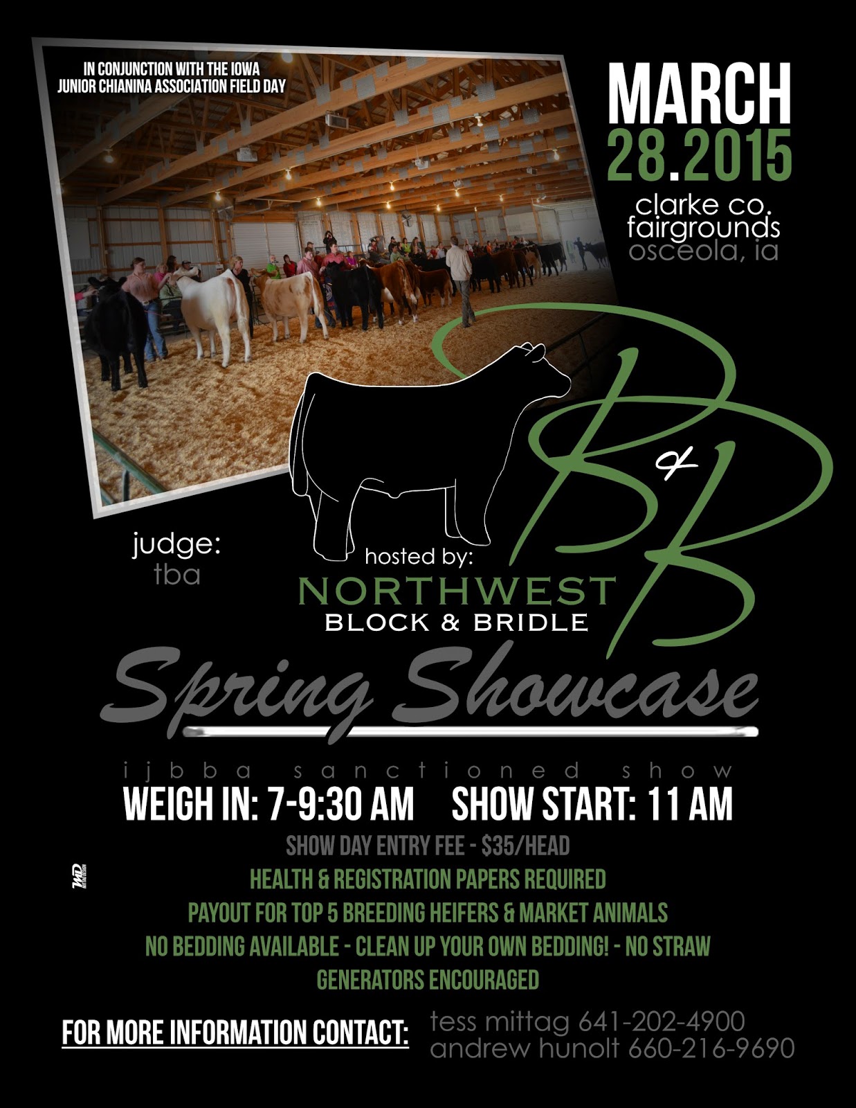 MITTAG Blog: NWMSU BLOCK AND BRIDLE SHOW