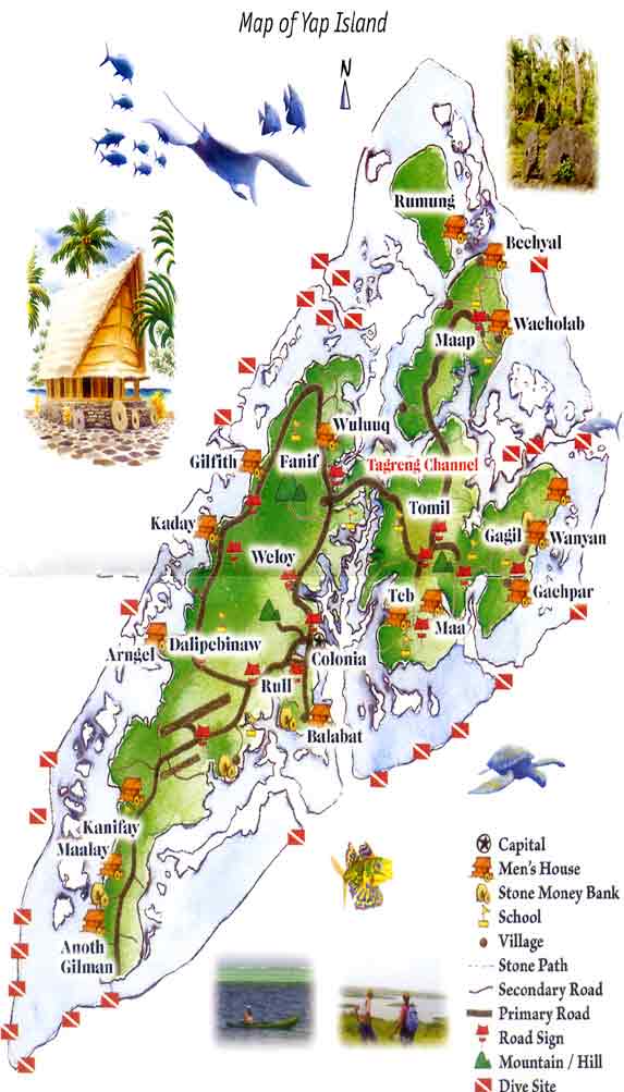 Tropical forest on the Micronesian Island of Yap: December 2012