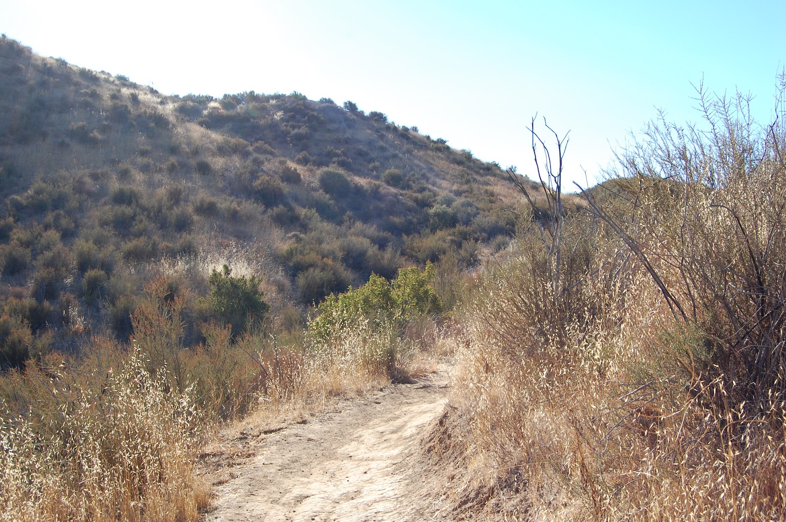 Hiking The Chumash Trail | East West Hike