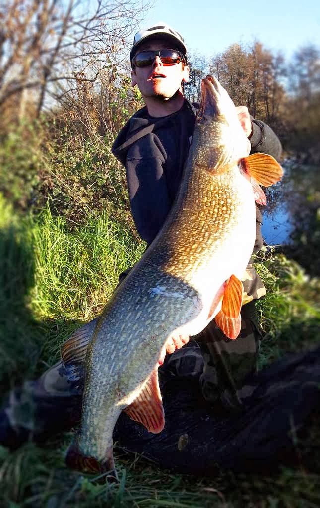 Big Fishes of the World: NORTHERN PIKE page 4