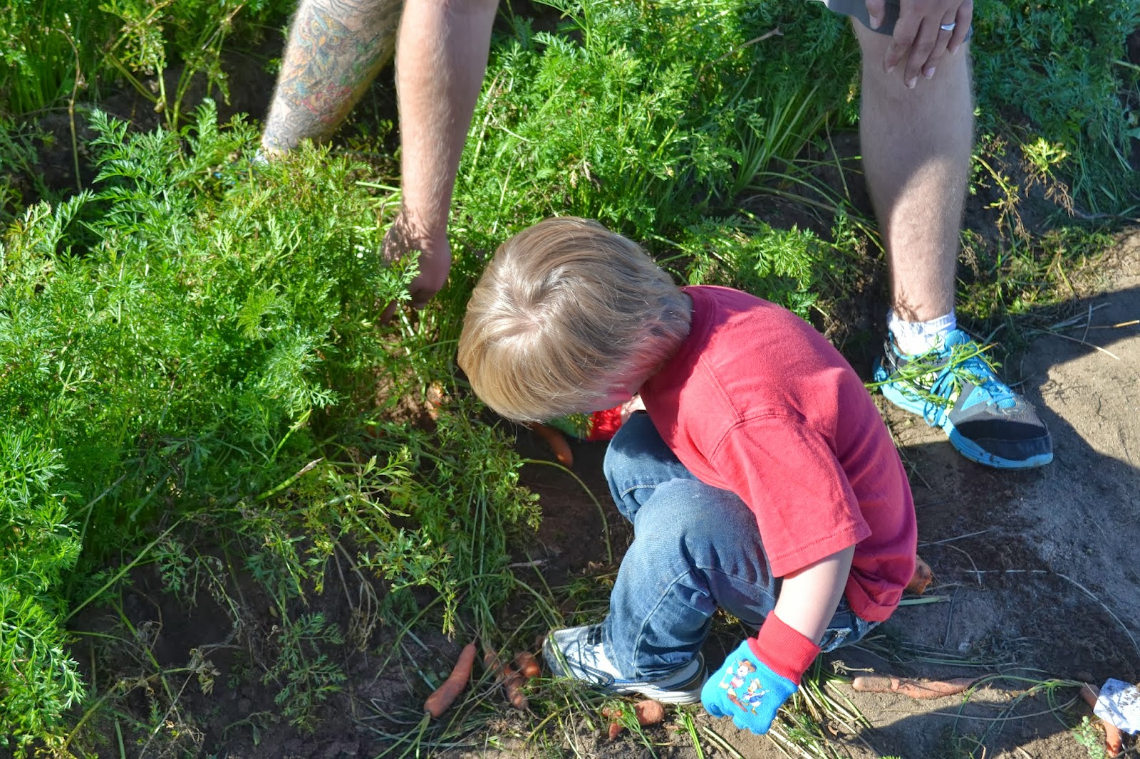 Miller Farms - Platteville Colorado - Building Our Story