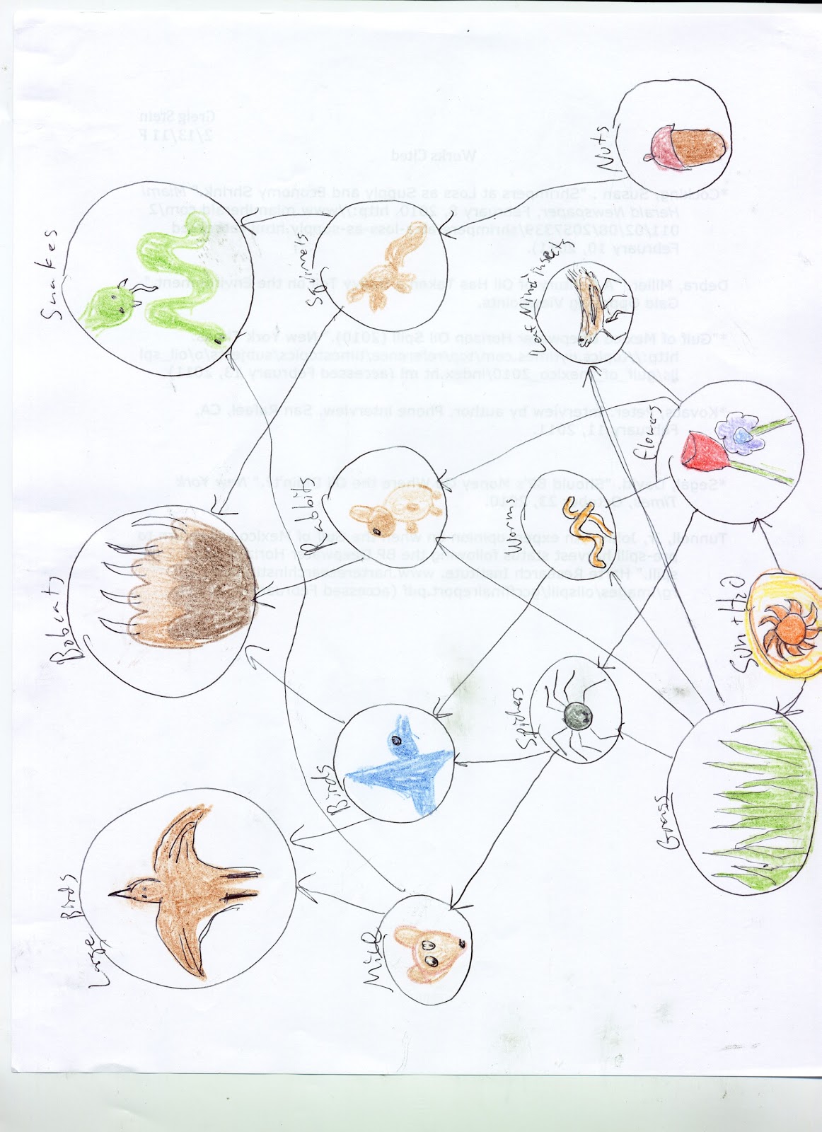 2011 Berry Berry Challenge: Local Food Web