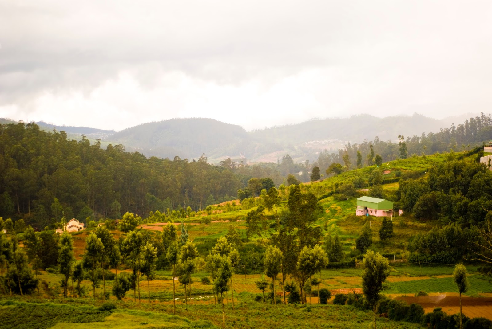 Holiday Packages India: Nilgiri Escape