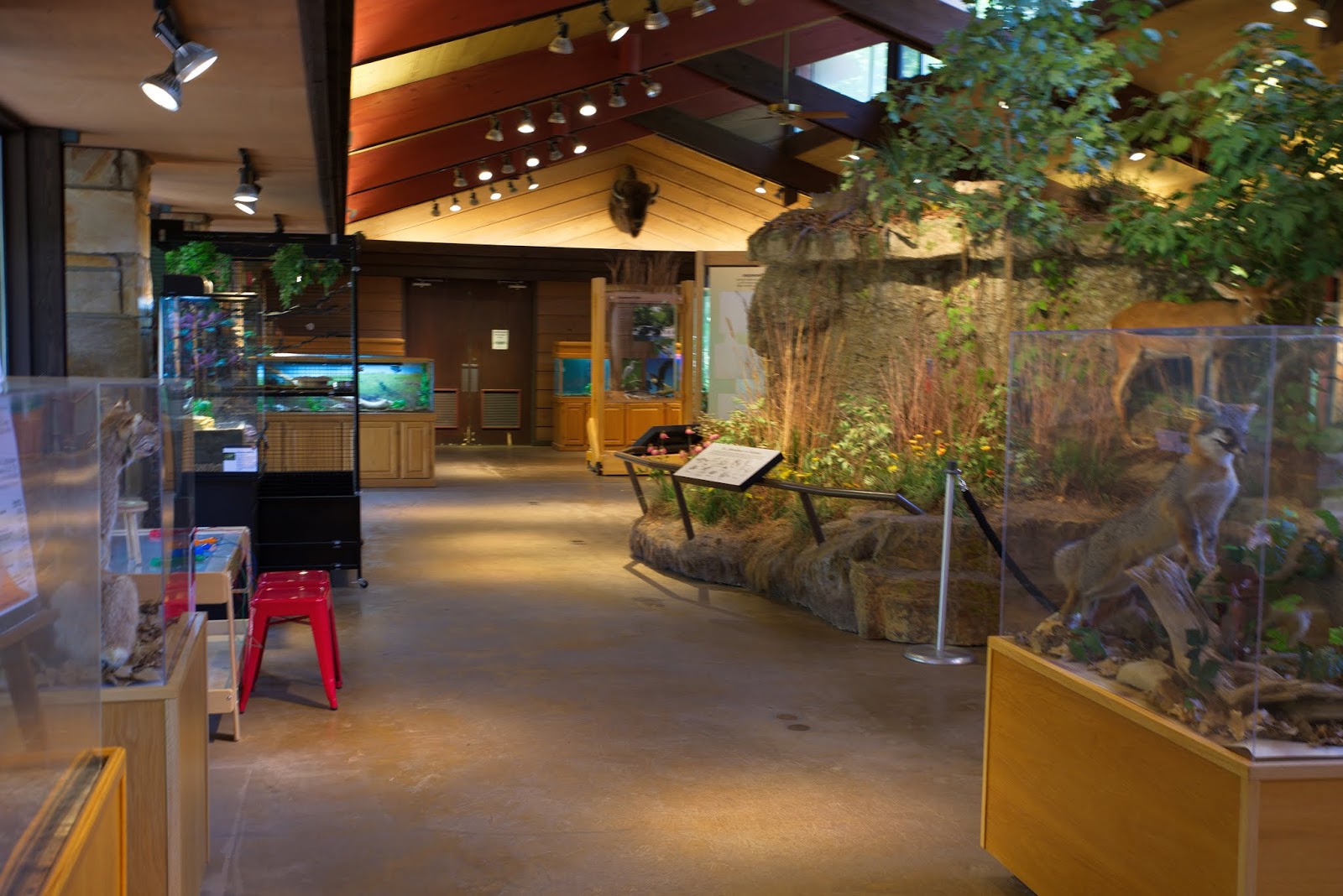 Tom & JoAnn's Memories: Travertine Nature Center, OK