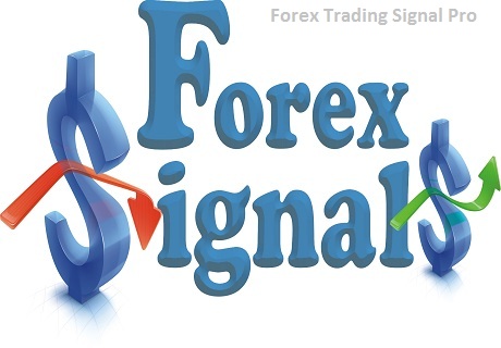 Forex Trading Signal Pro : December 2016