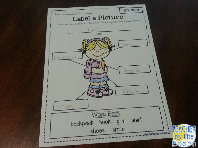 Label It and Write About It! - Teacher by the Beach