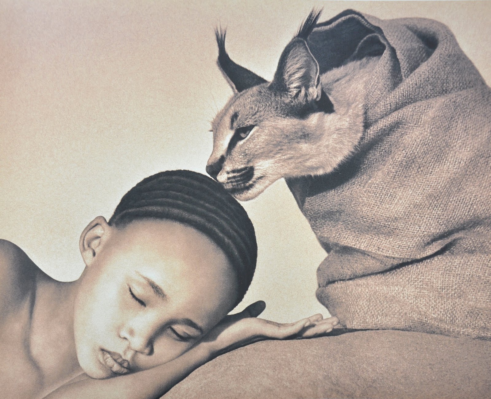 SELECT MODERN: Gregory Colbert, Ashes and Snow Selected Works: 1992–2005