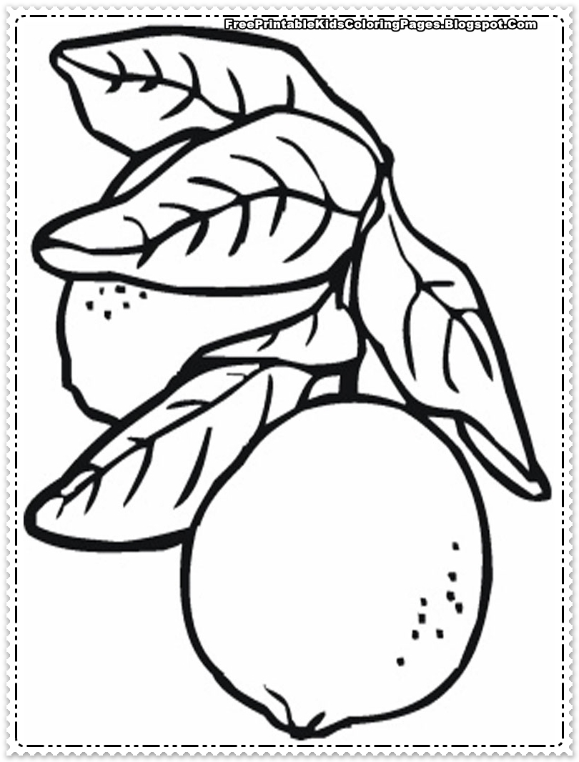 Orange Coloring Pages Printable Coloring Pages