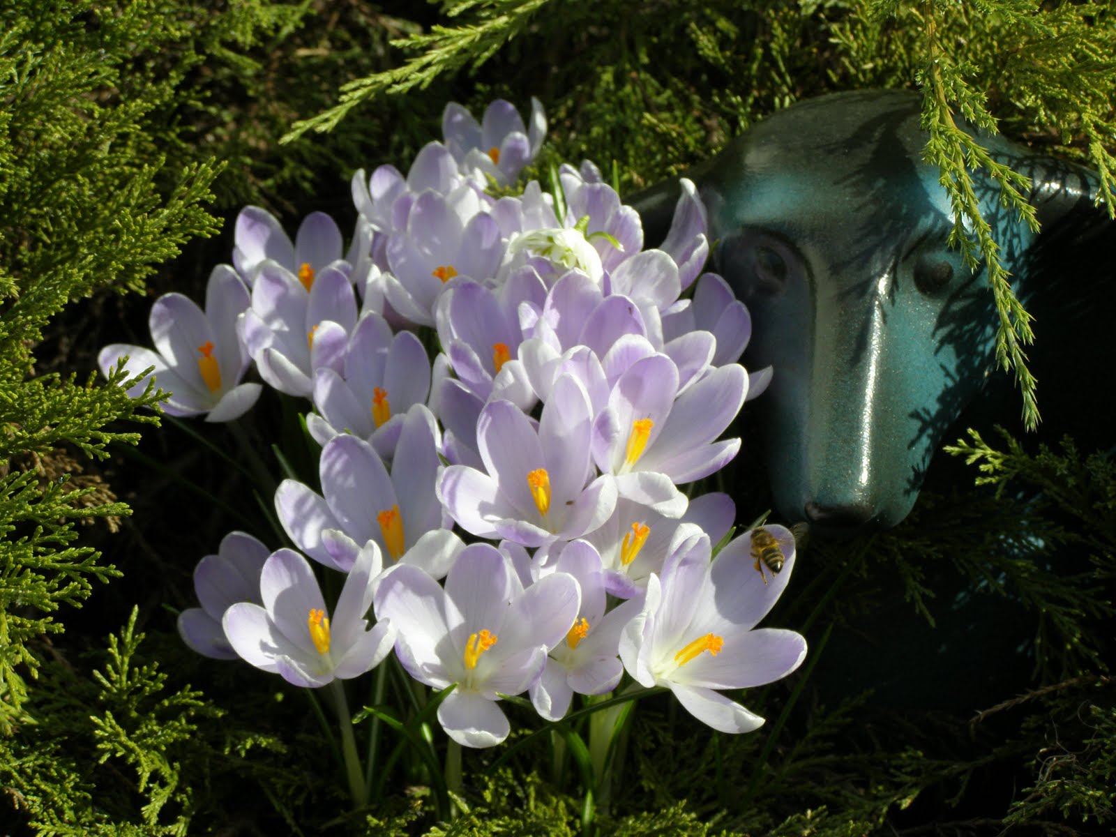 Koduperenaise blogi: Kevad!