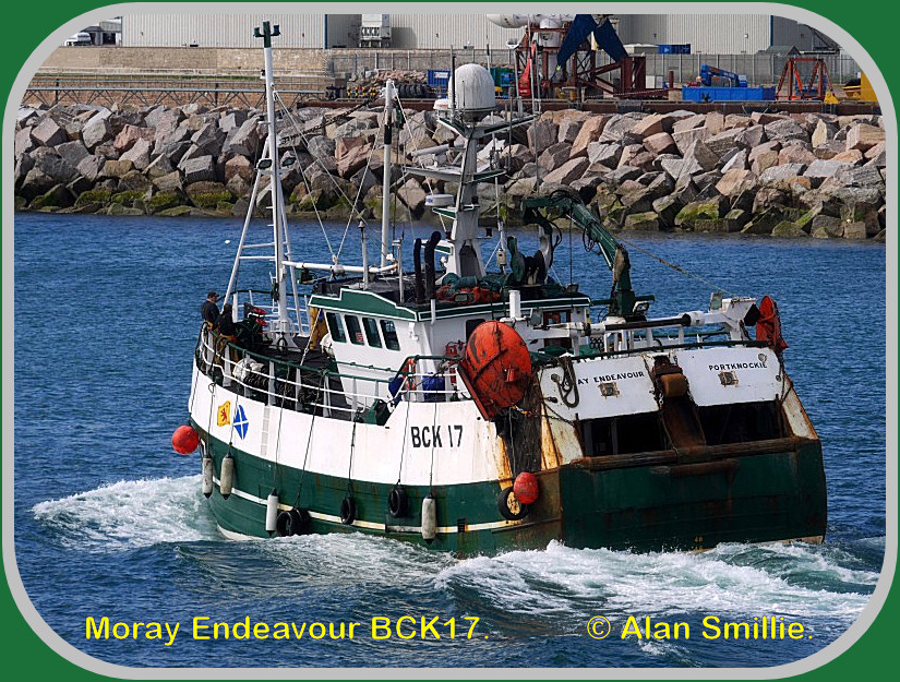 Peterhead Fishing Harbour: November 2012