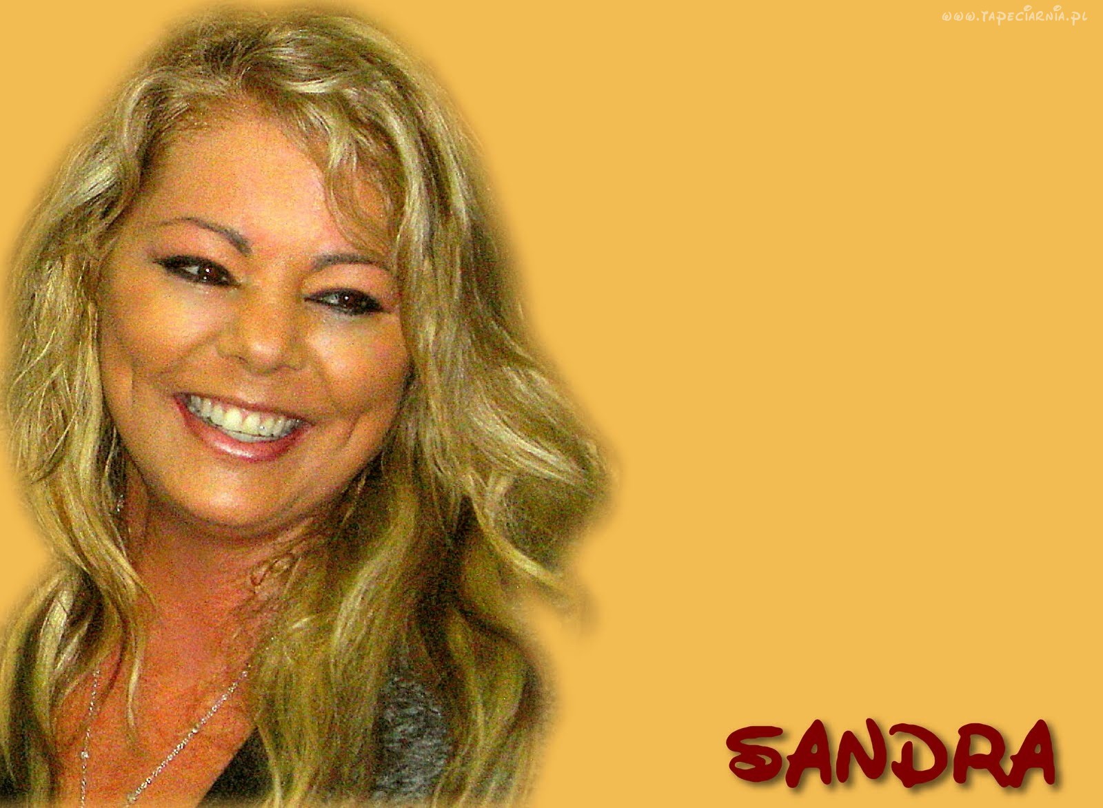 GALERIA DO FLASHBACK: TUDO DE SANDRA