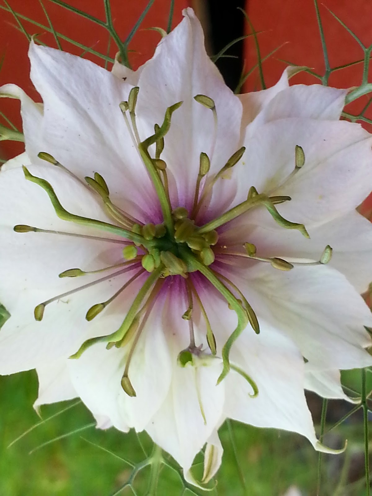 Lioness in Exile: August 2014