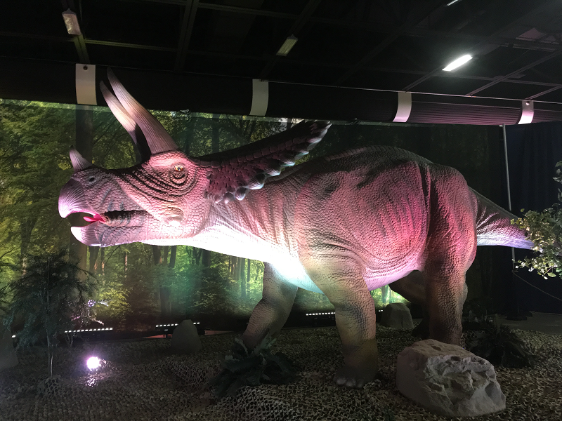 You Are The Roots: discover the dinosaurs unleashed