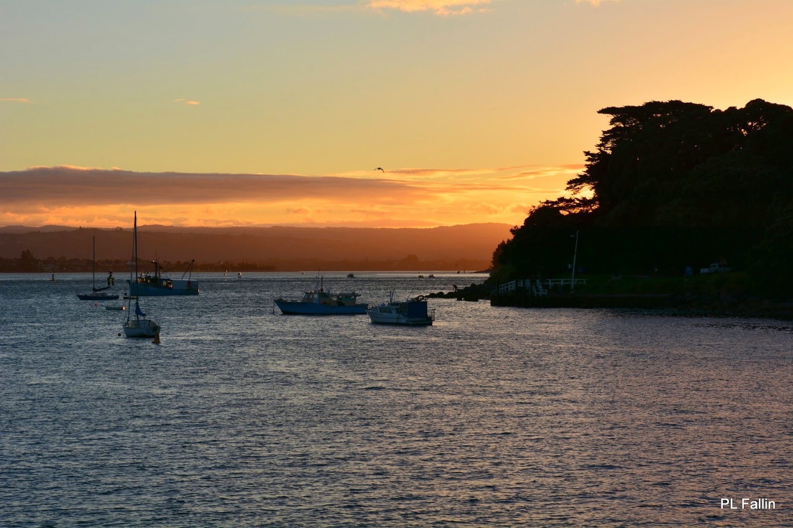 PL Fallin Photography: Sunset at Tauranga Harbour, New Zealand