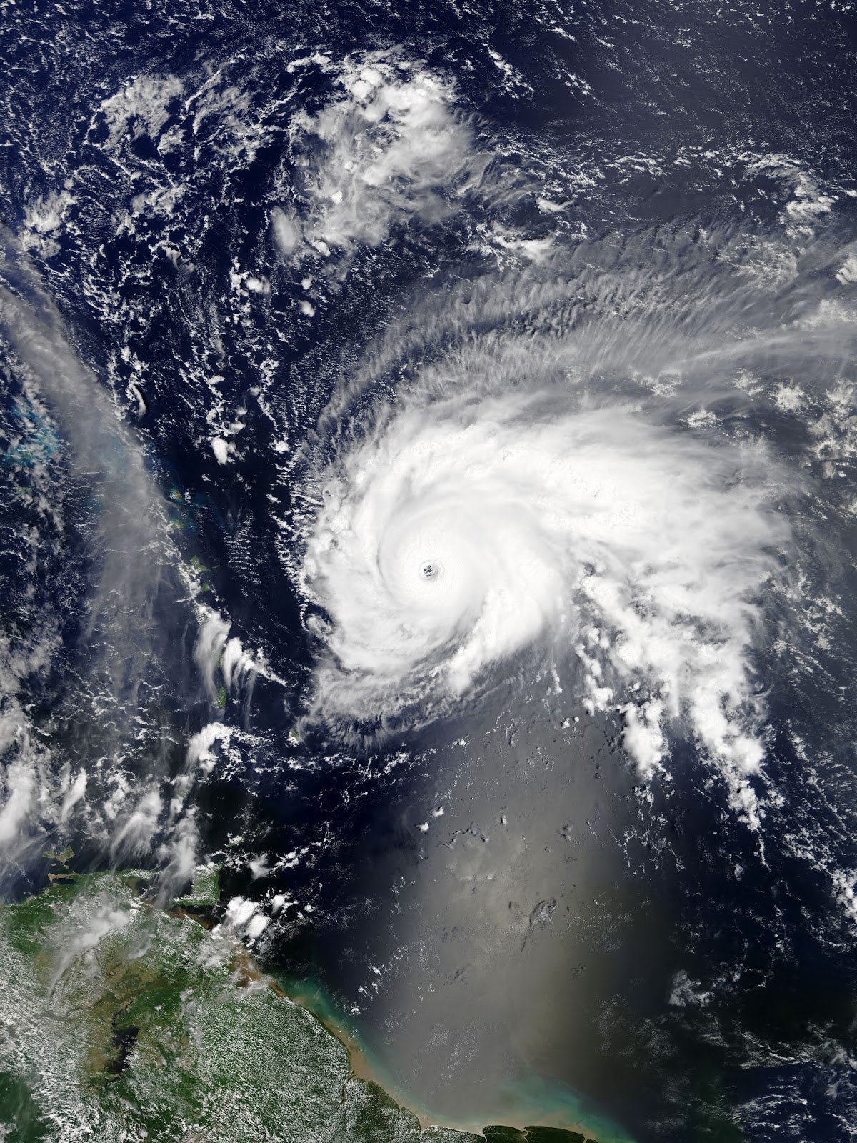 Professor Quibb: Hurricane Jose (2017)