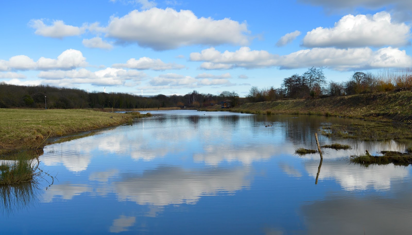 Puddle Jumping at WWT Washington Wetland Centre | A Review | North East ...