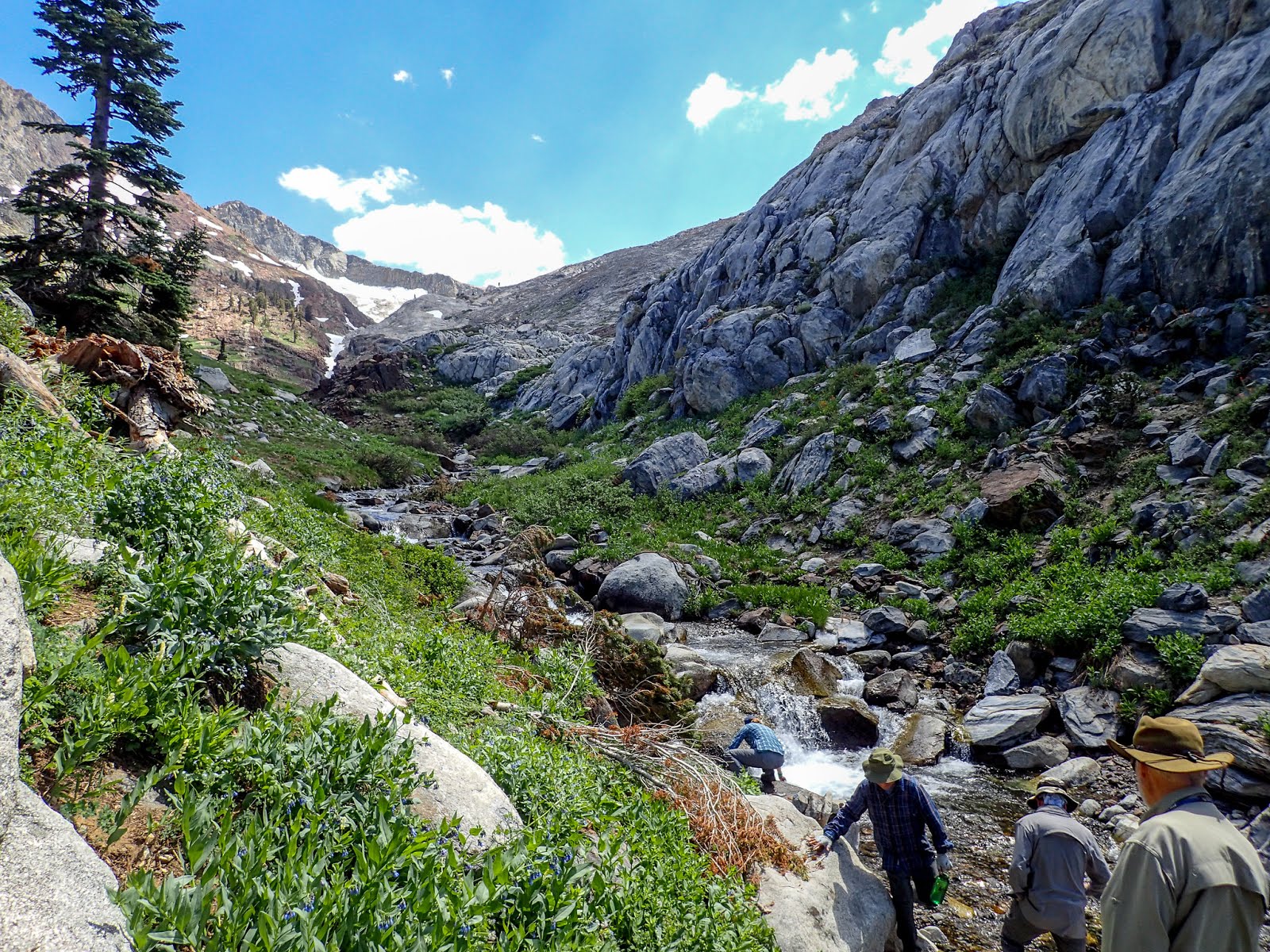 Vandever Mountain, Cirque Cave, & White Chief Caves In Mineral King WTC ...