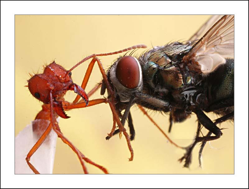 13 tips para crear fotos inusuales - Carlos Rodríguez Fotógrafo Blog