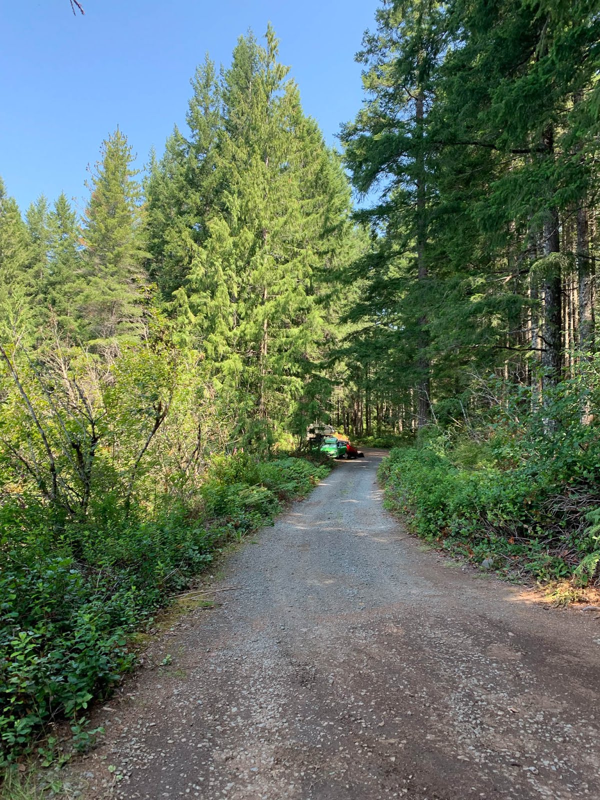 Sayward Forest Canoe Route Vancouver Island Canada - First Church of ...
