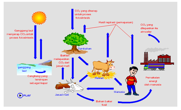Siklus Udara (Daur Biogeokimia)