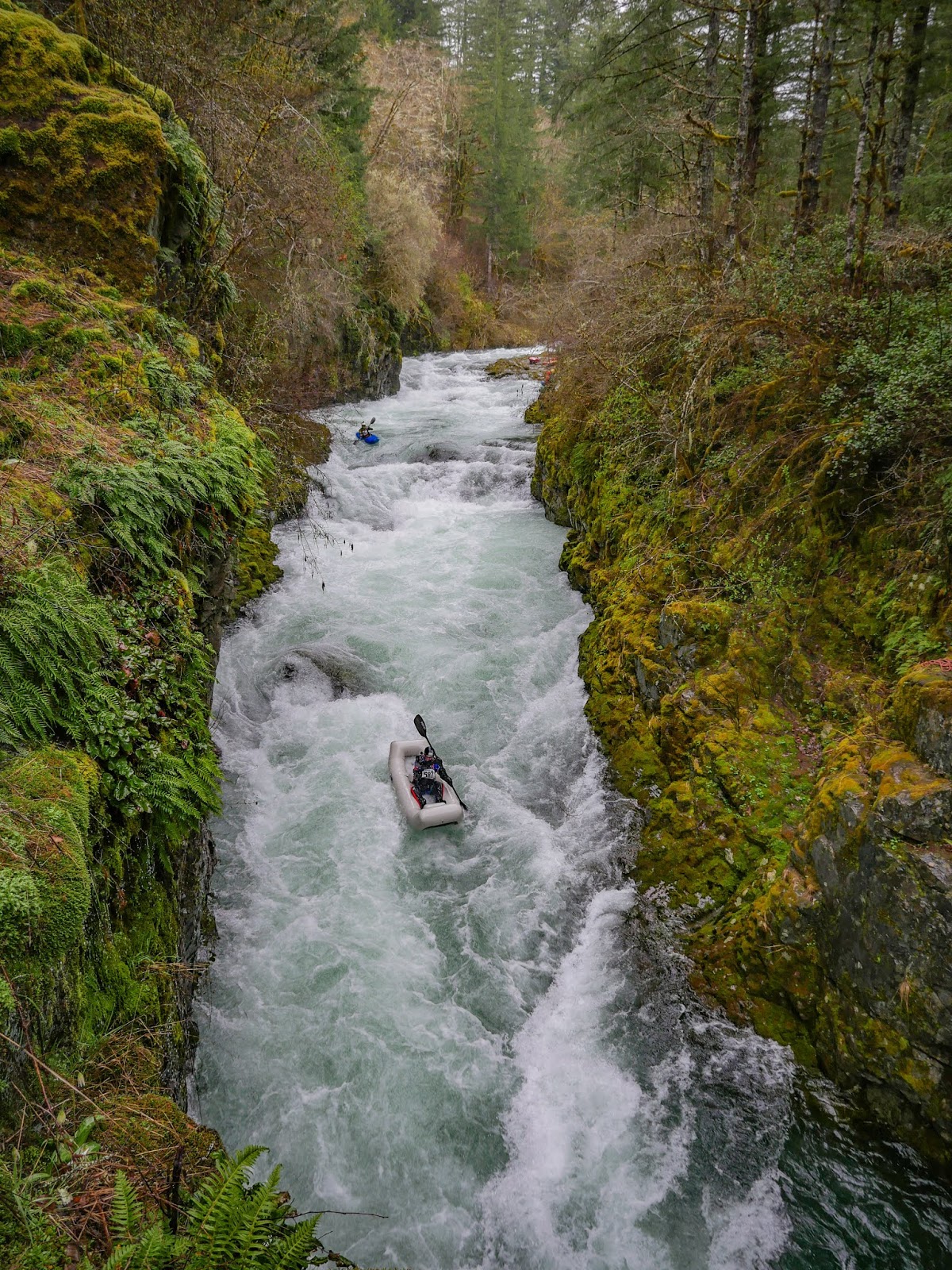 Into the Outside: EF Lewis River