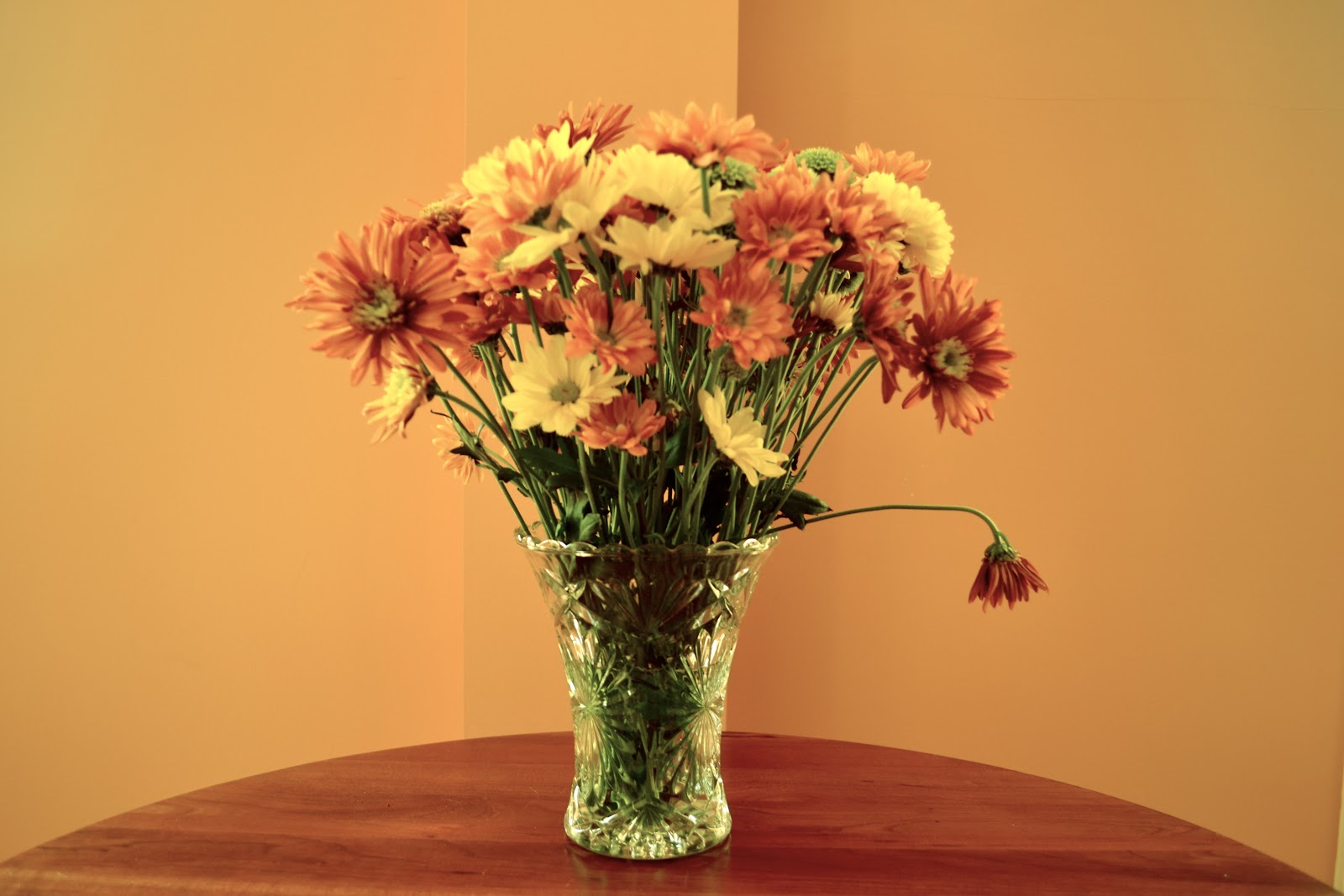 2-D Design: Emphasis and Focal Point