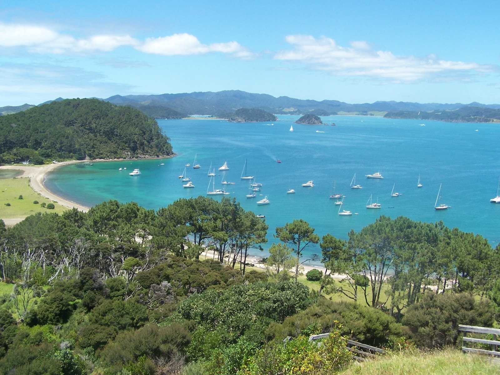 The Cynical Sailor & His Salty Sidekick: Experiment Number 1 - Bay of ...