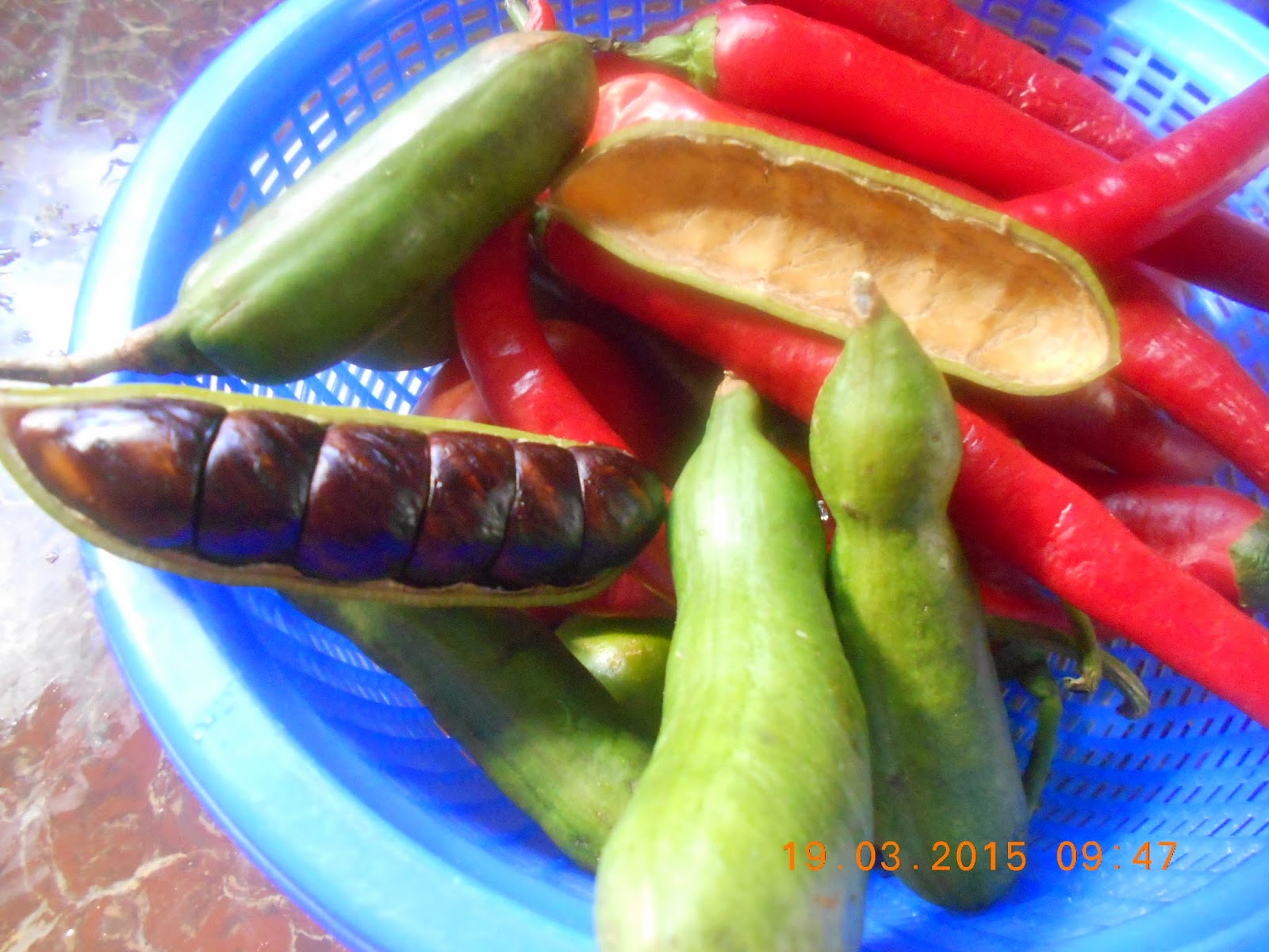 namakucella: BUAH KERDAS a.k.a BUAH GENUAK..