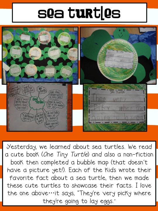 Weekly Wrap-Up - Primary Press