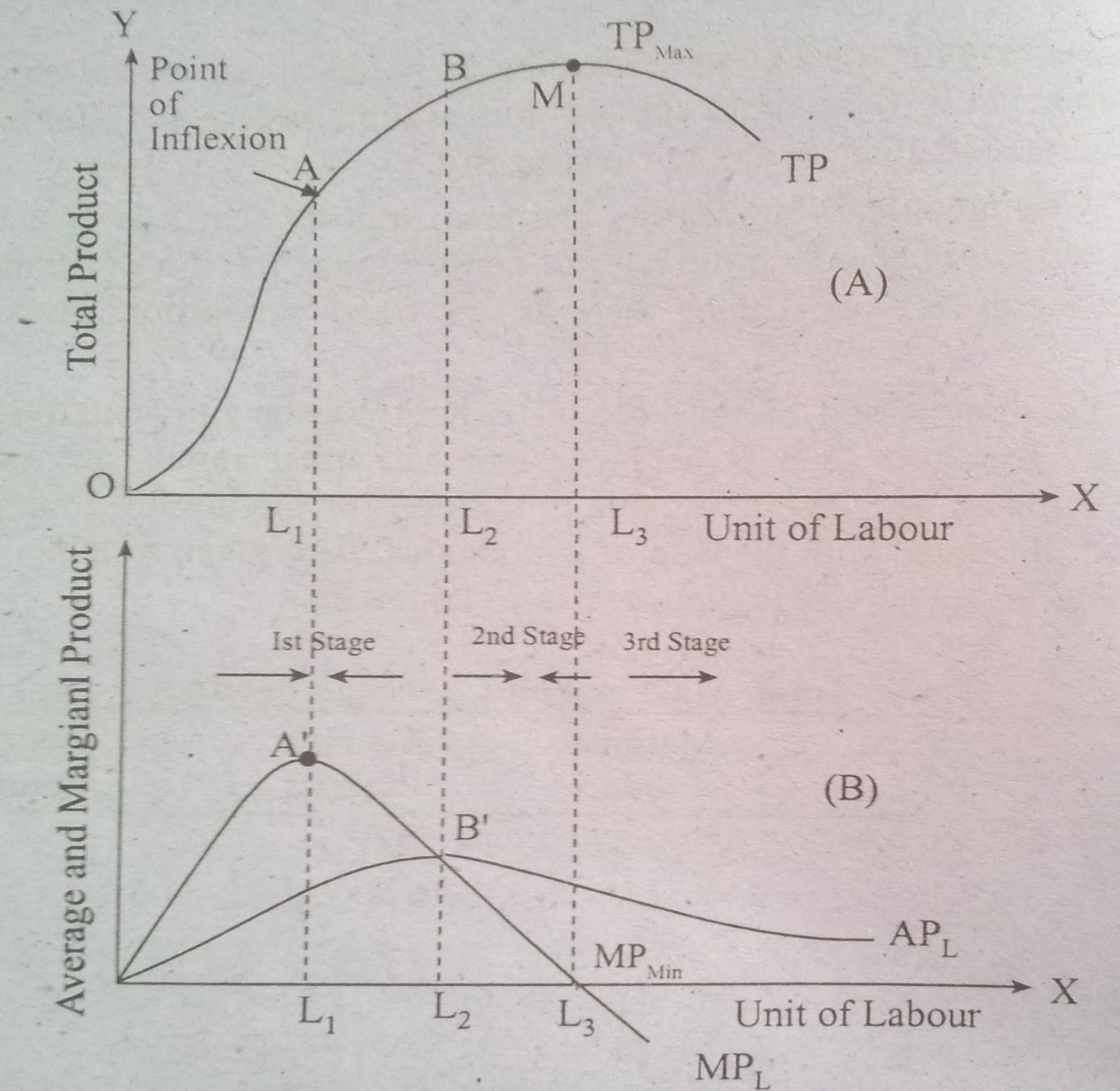 Management Studies: Law of Variable Proportions